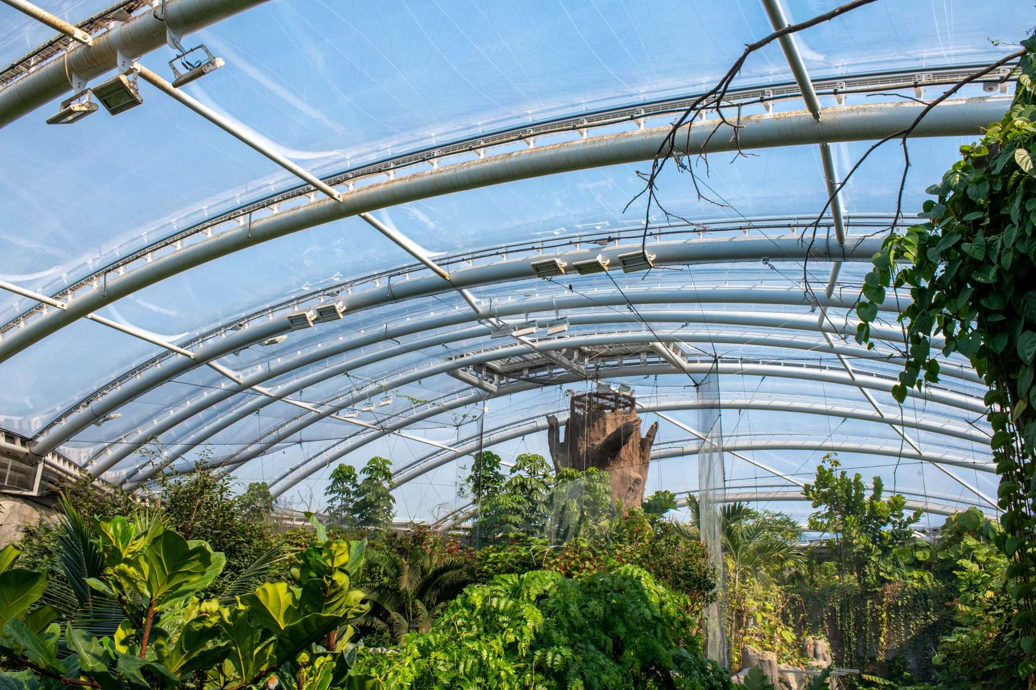 Chester Zoo | Novum Structures