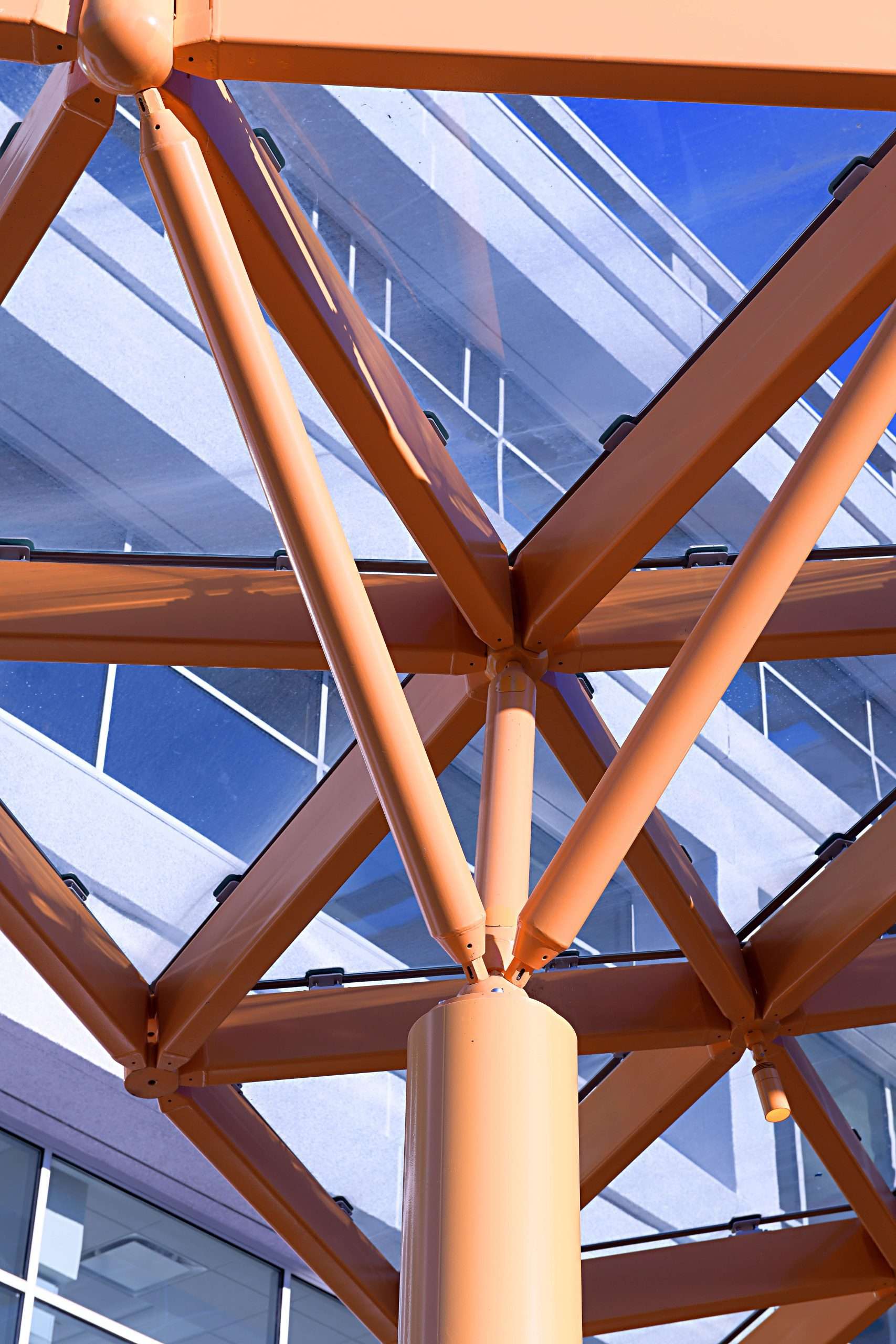 The Center for Discovery | Novum Structures