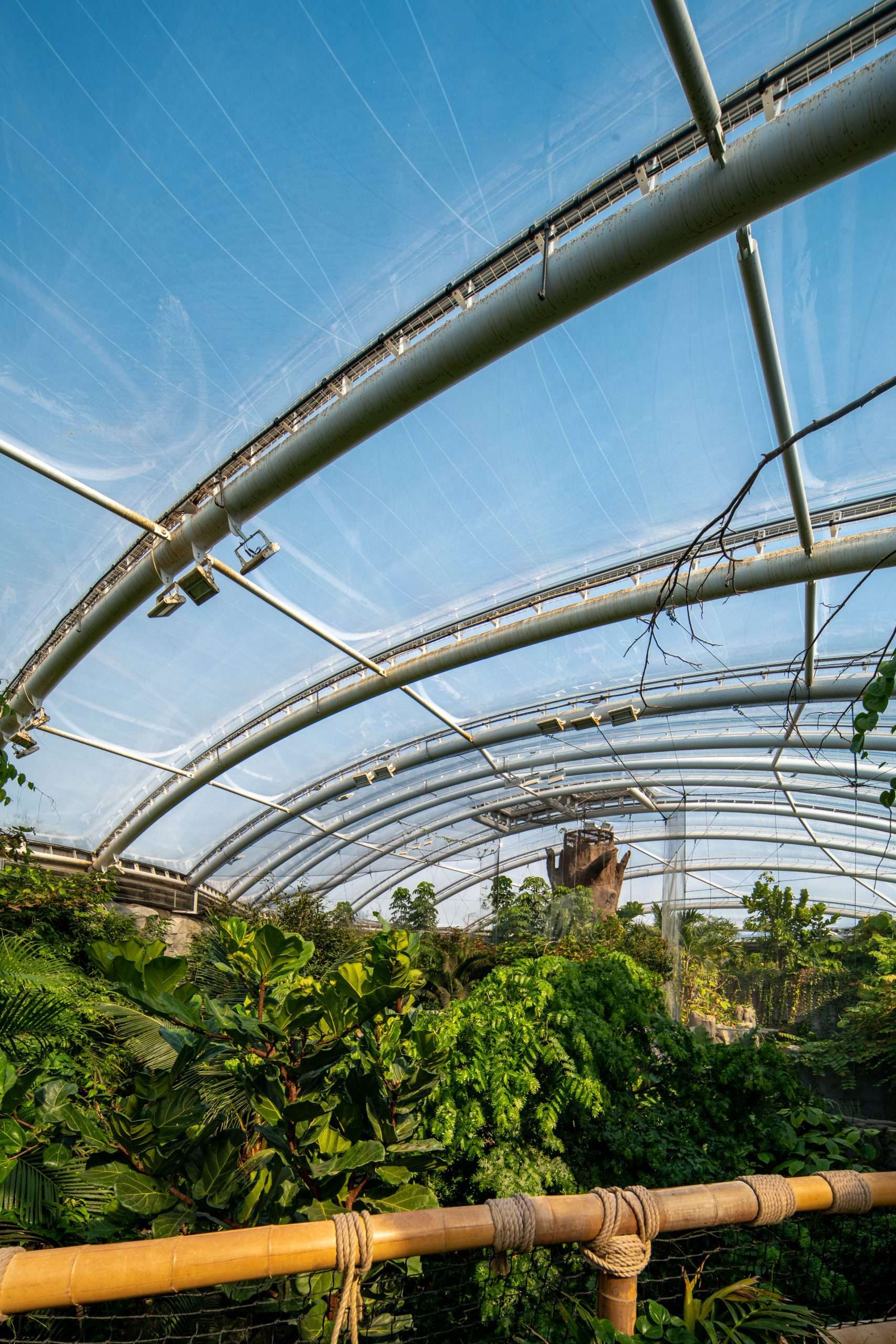 Chester Zoo | Novum Structures