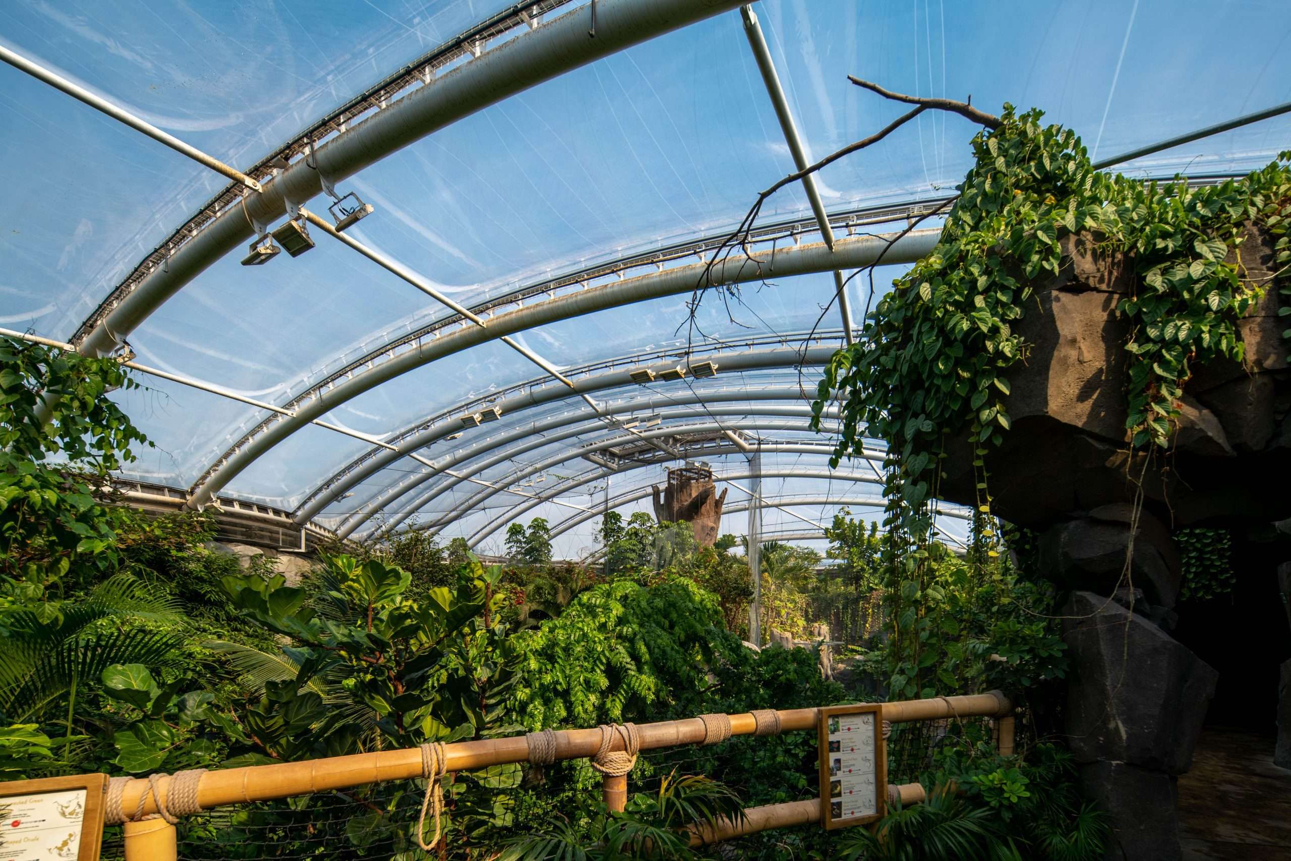 Chester Zoo | Novum Structures