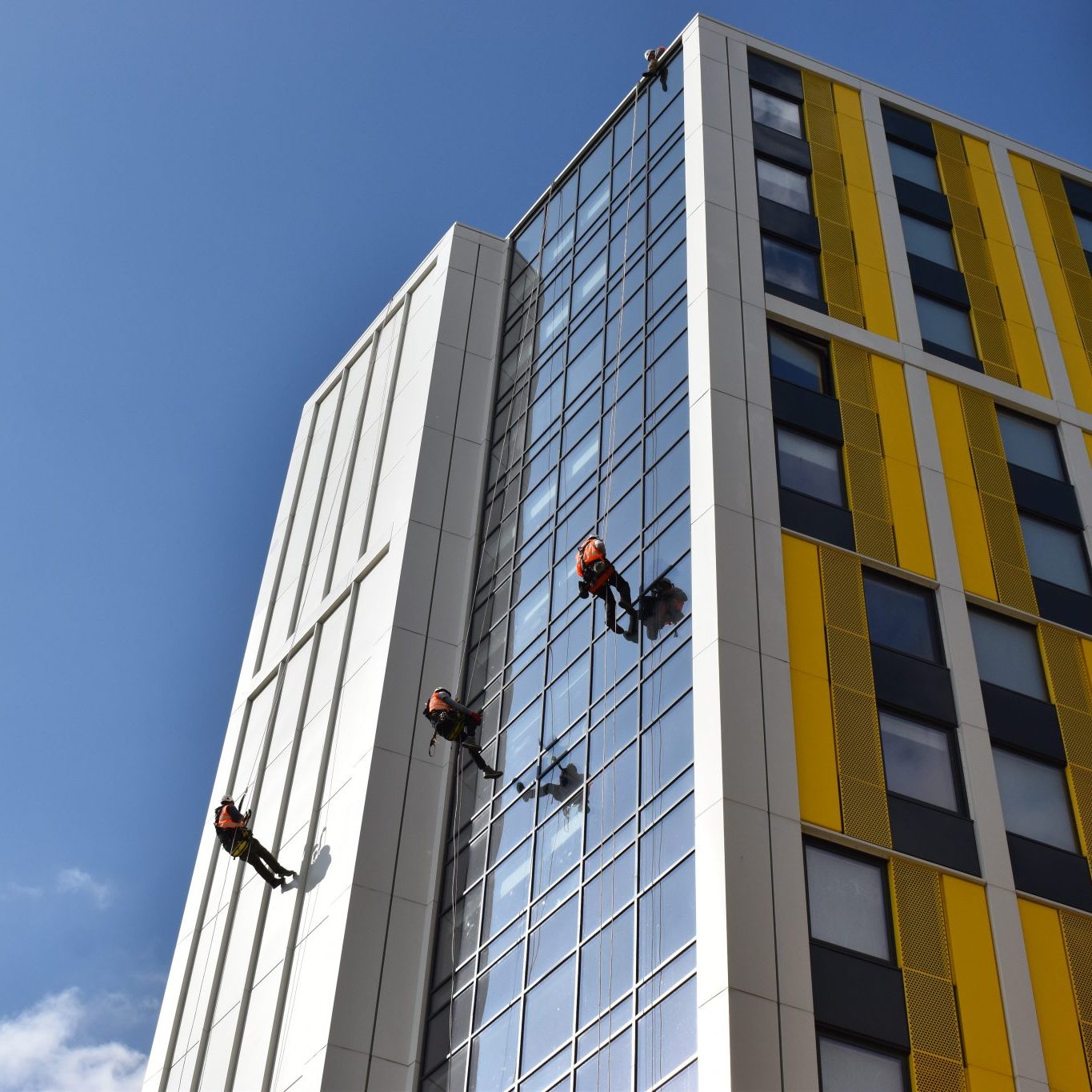 Enclosure Maintenance & Inspection | Novum Structures